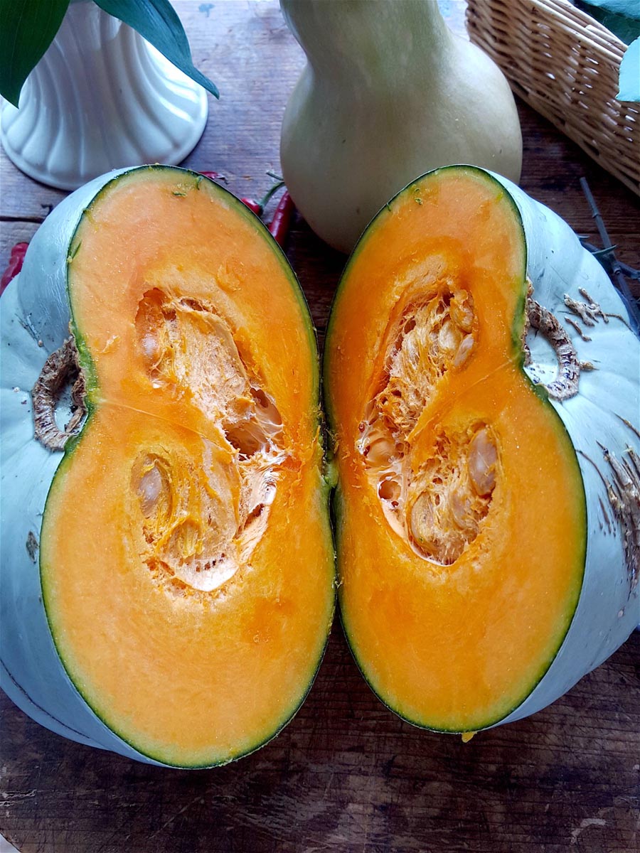 Roast Pumpkin, Red Pepper & Red Onion Salad - Shared Kitchen